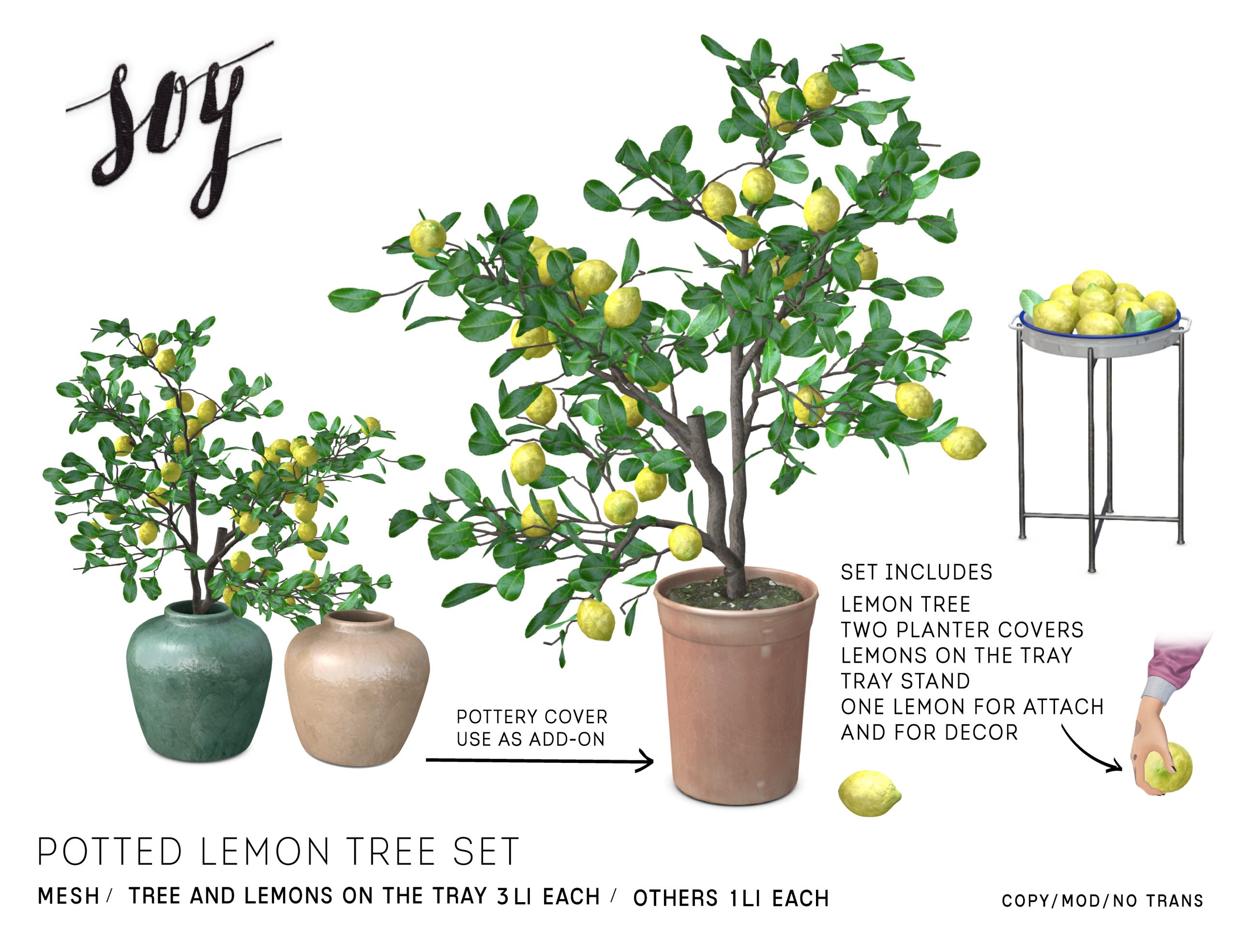 Soy. Potted Lemon Tree Set @C88 April ’22 – Soy